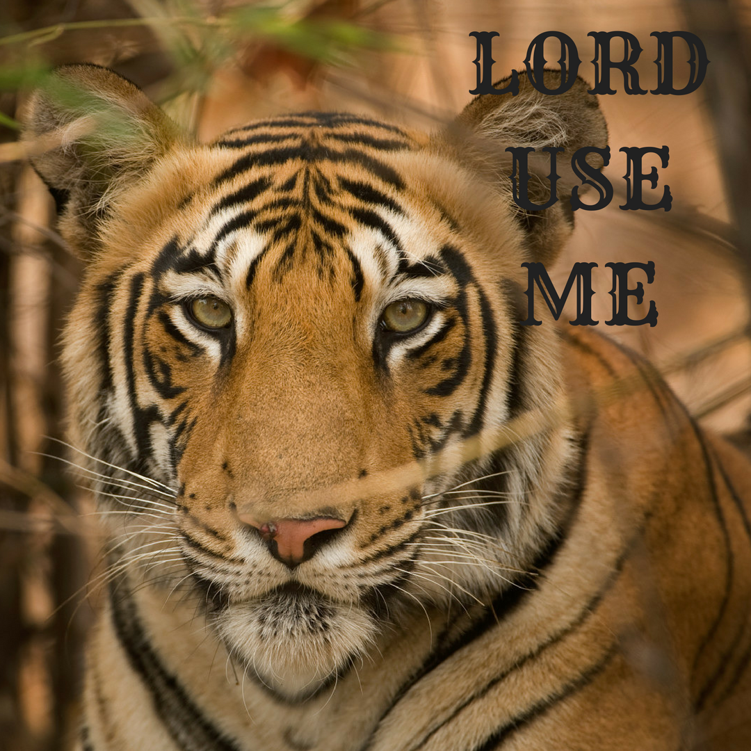 Highly Favored Inspirations – Highly Favored Inspirations